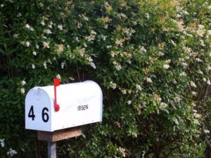 USPS Informed Delivery Not Working: What To Do - US Global Mail