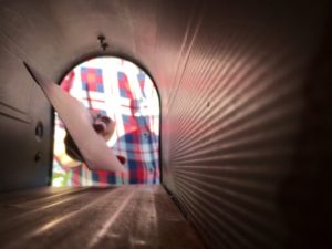 Check Lost in Mail - US Global Mail